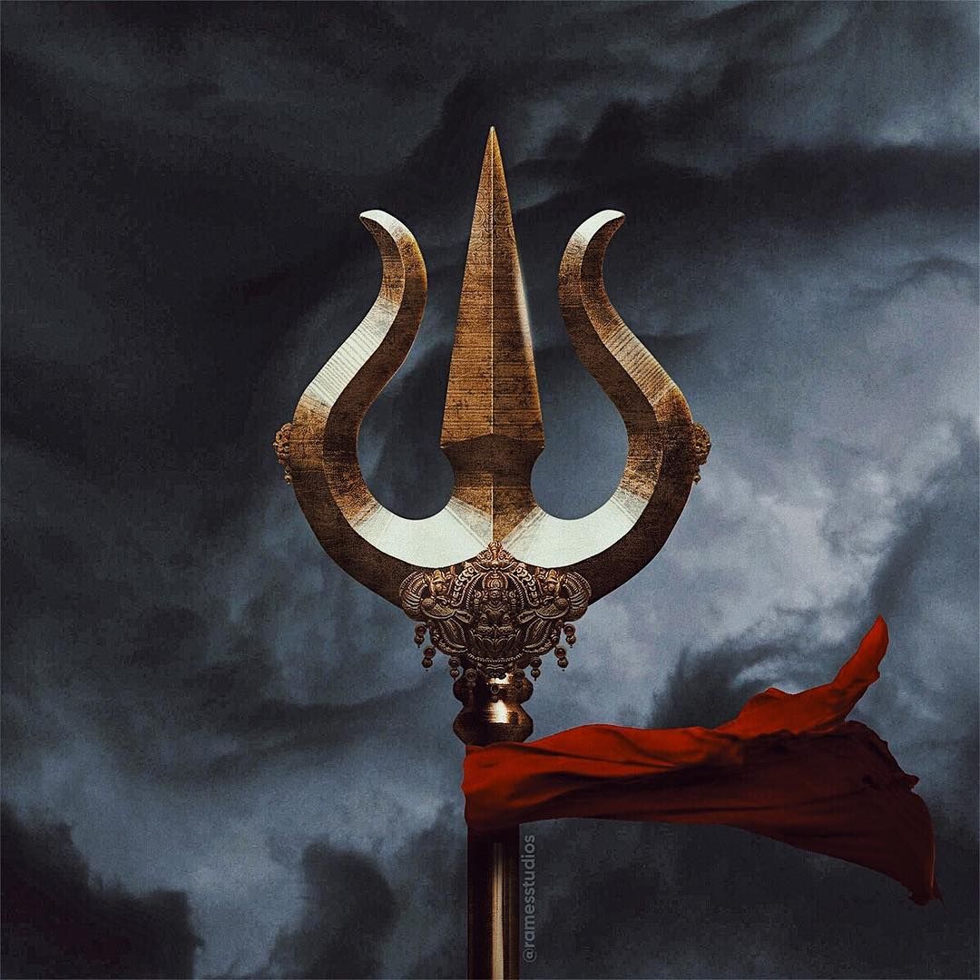 The Mystery of Number 3 – MicrobiteWorld