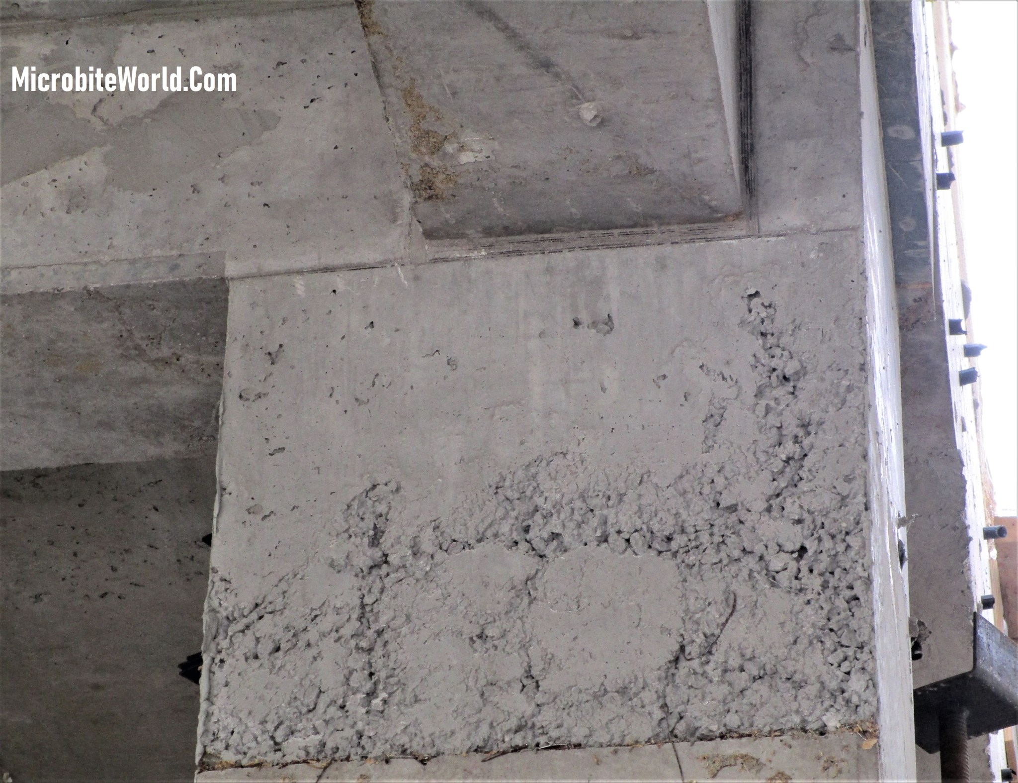 Types of Non Conformance in Construction – MicrobiteWorld